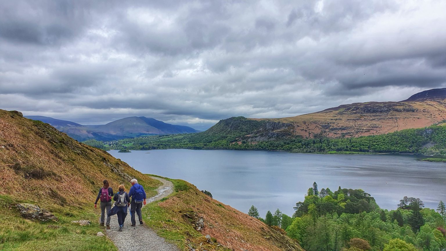 Lowland Leader – Mountain Services